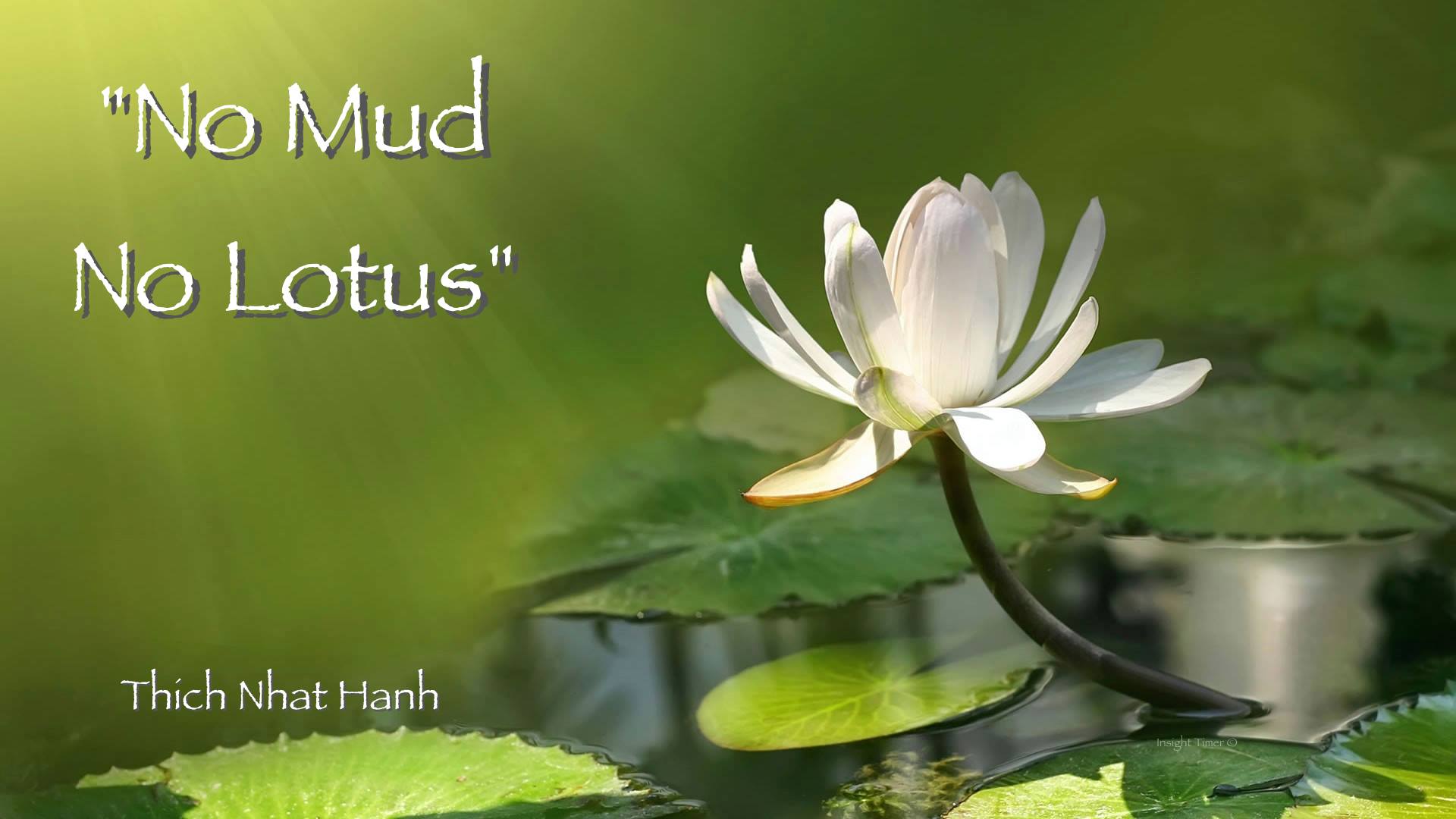 No Mud, No Lotus – My Macular Degeneration Journal